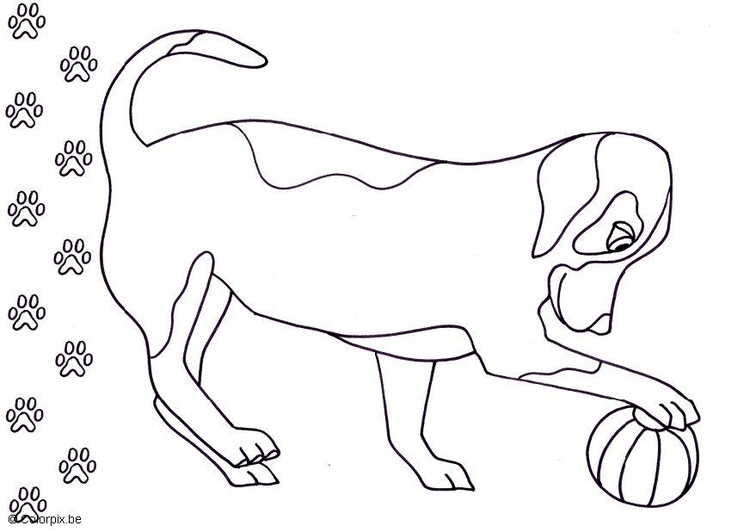 Disegno da colorare cane - Disegni Da Colorare E Stampare Gratis - Imm ...