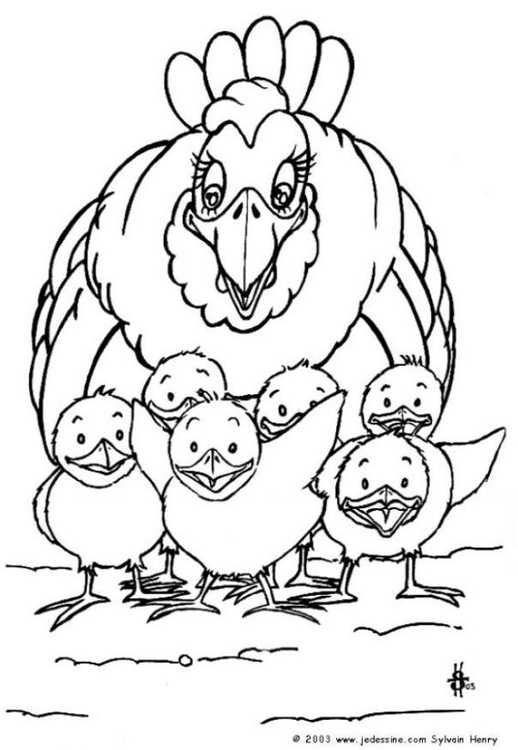 Disegno da colorare gallina con pulcini - Disegni Da Colorare E ...