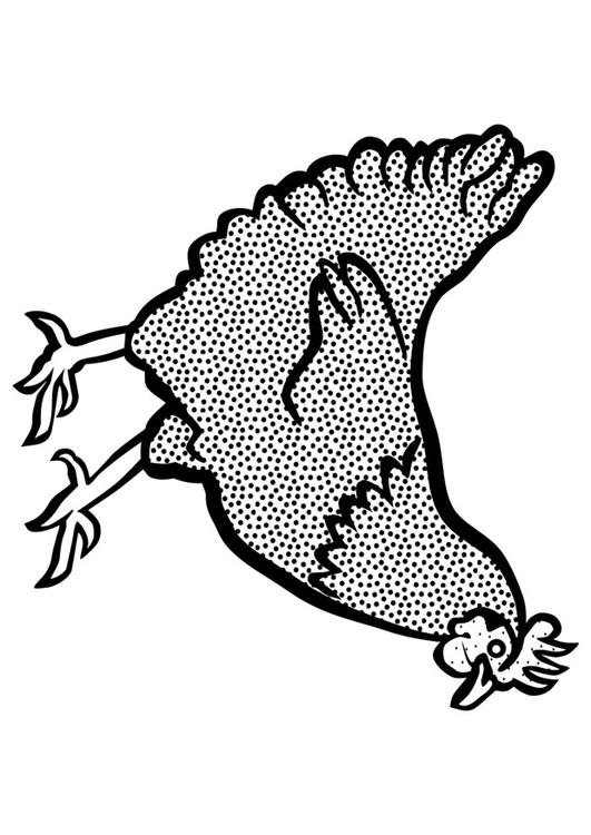 Disegno da Colorare di gallina – Disegni da Colorare e Stampare Gratis ...