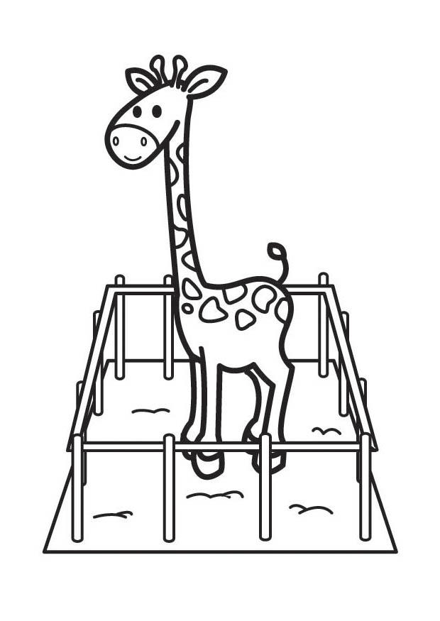 Disegni Da Colorare Di Giraffe Carini Stampabili Pagina Da Colorare