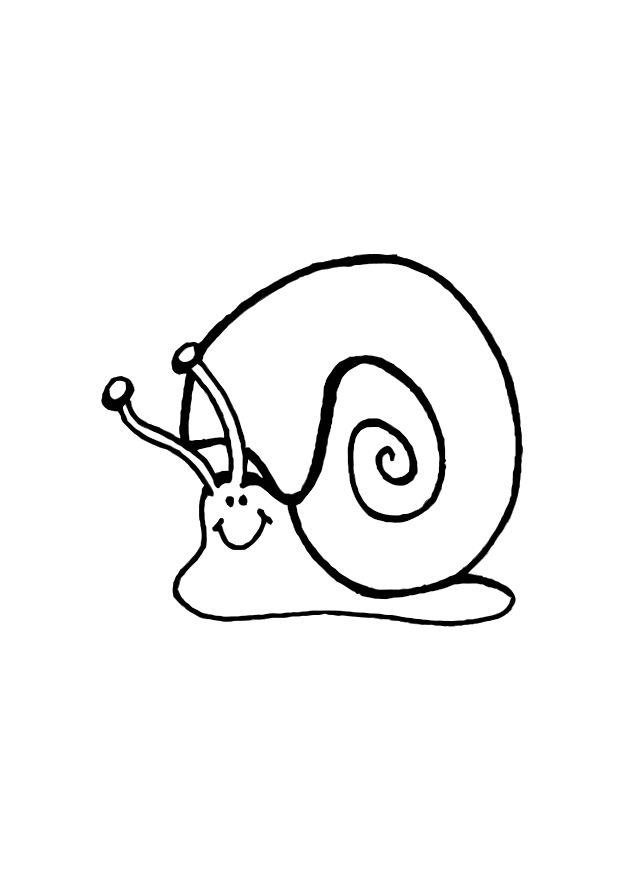 Disegno da colorare di lumaca con una grande conchiglia a spirale e un ...