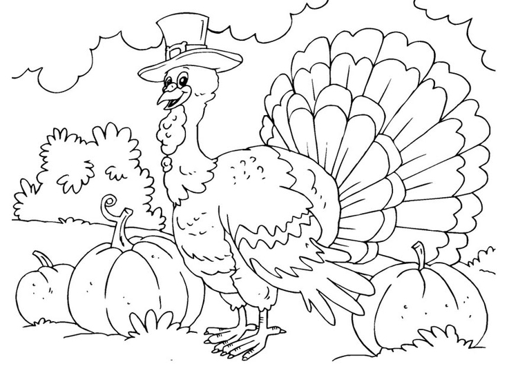 Disegno da colorare tacchino - Disegni Da Colorare E Stampare Gratis ...